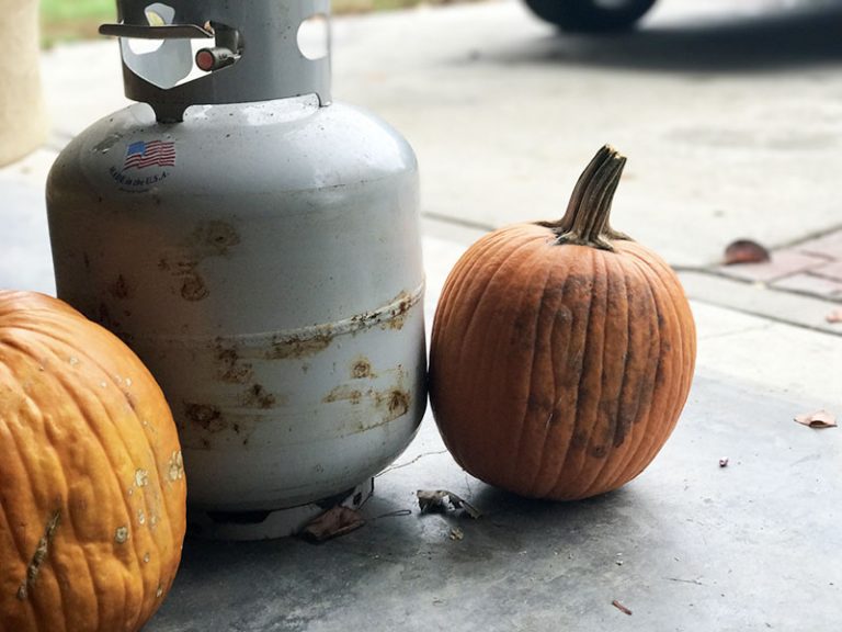 Seriously Delicious Homemade Buttermilk Pumpkin Pancakes