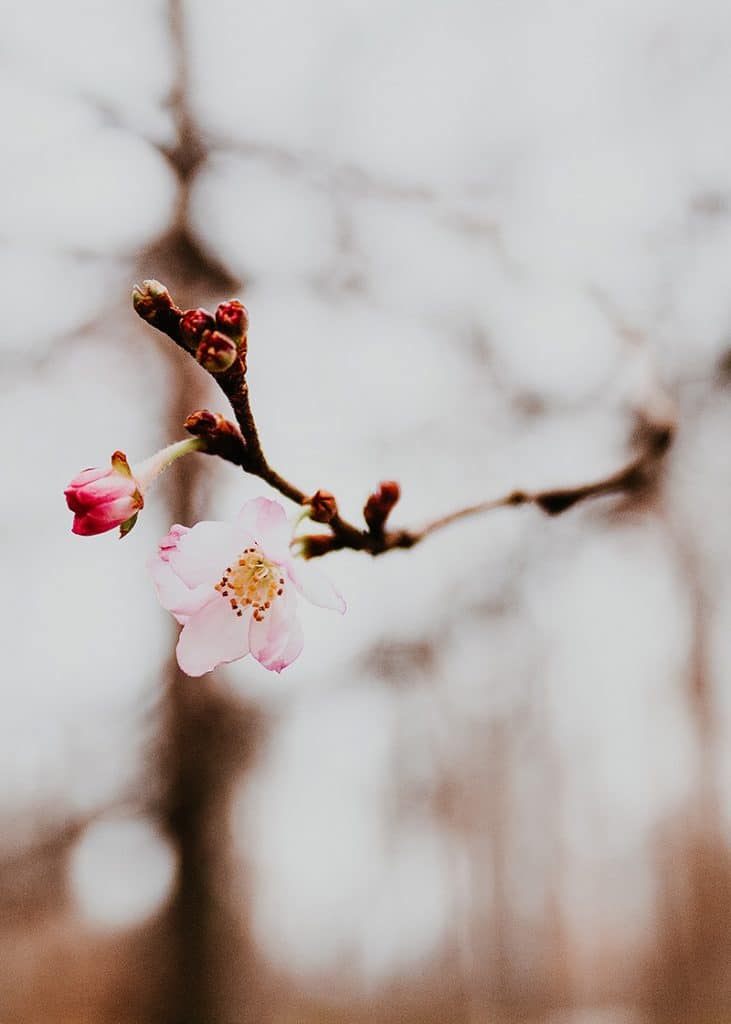 Over 100 Ways To Get Ready For The Cold Weather & Winter Holidays